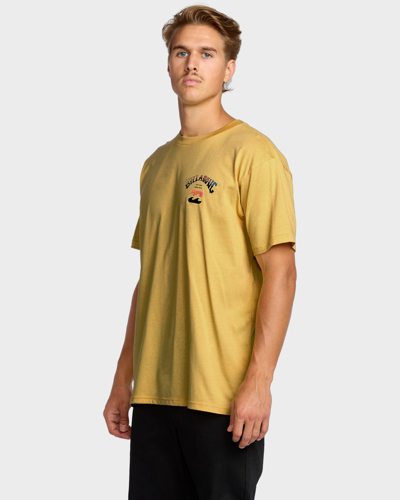 Buy Mens Arch Fade Premium T-Shirt by BILLABONG | Amazon Surf NZ