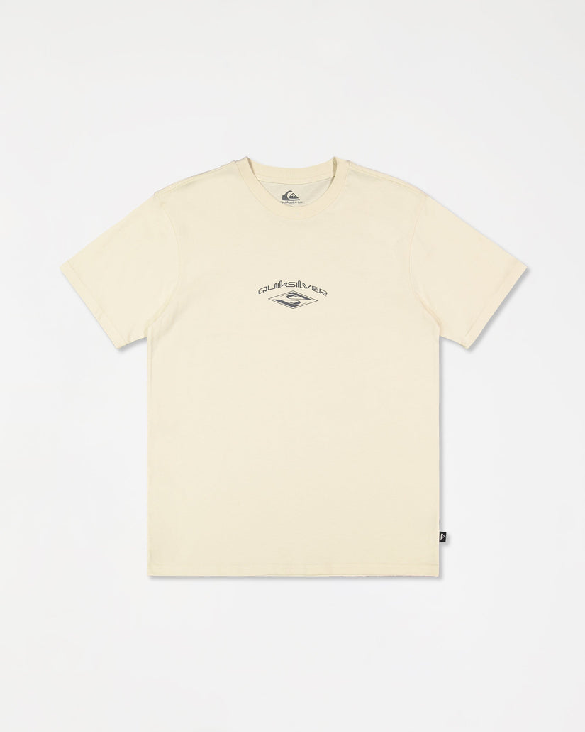 Buy Mens Reflected T-Shirt by quiksilver | Amazon Surf NZ