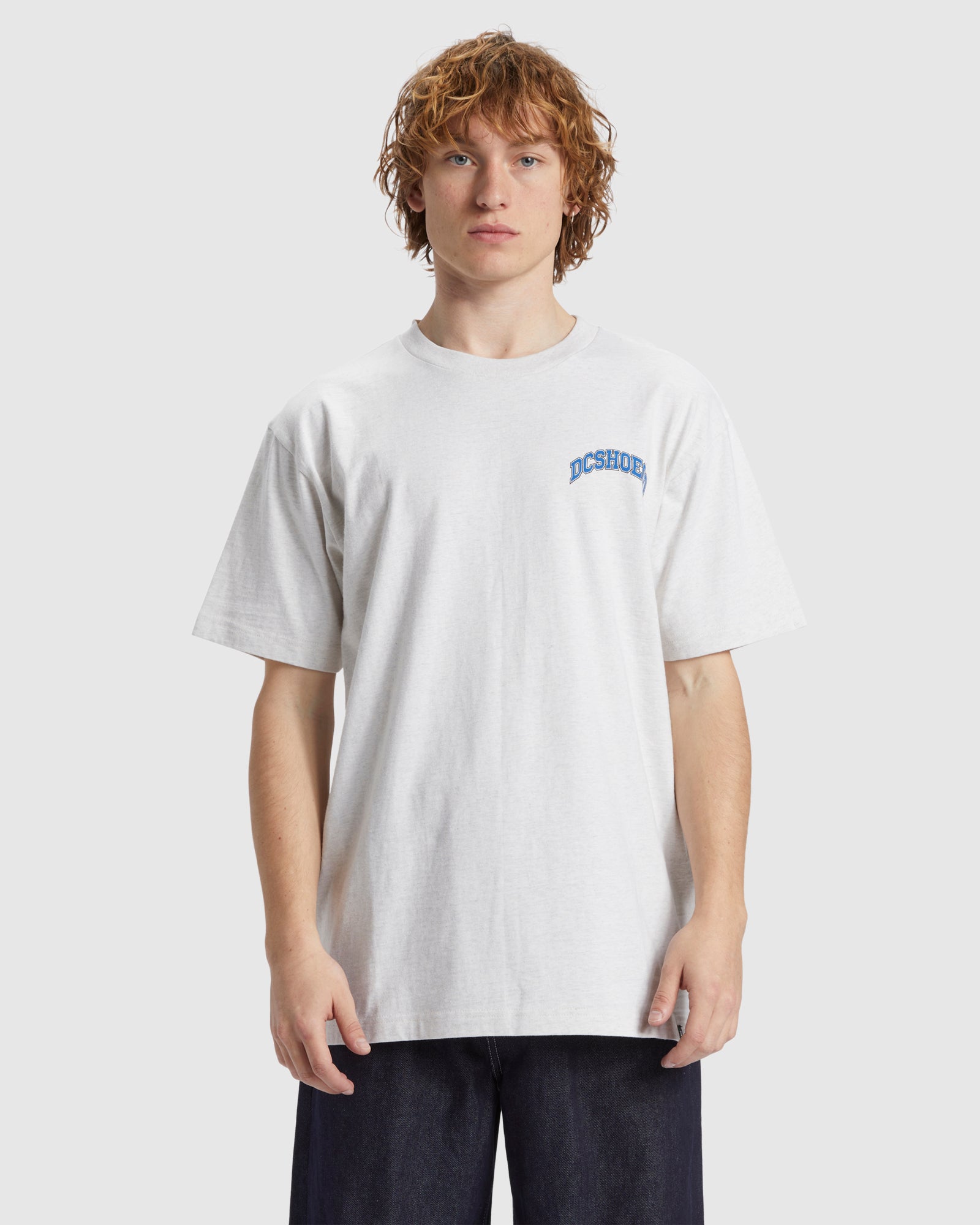 Buy Mens Orientation Heritage Short Sleeve T-Shirt by DC Shoes | Amazon ...