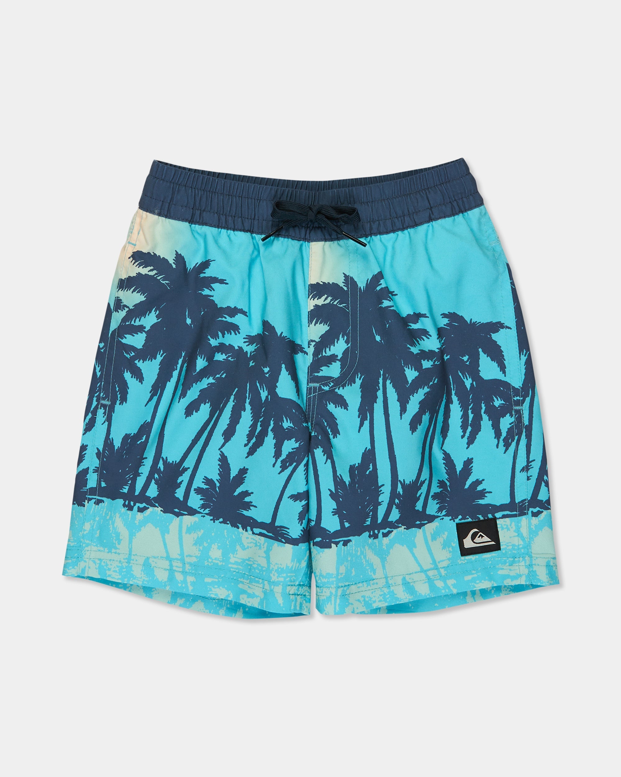 Buy Boys 2-7 Everyday Printed 13" Swim Shorts by quiksilver | Amazon ...